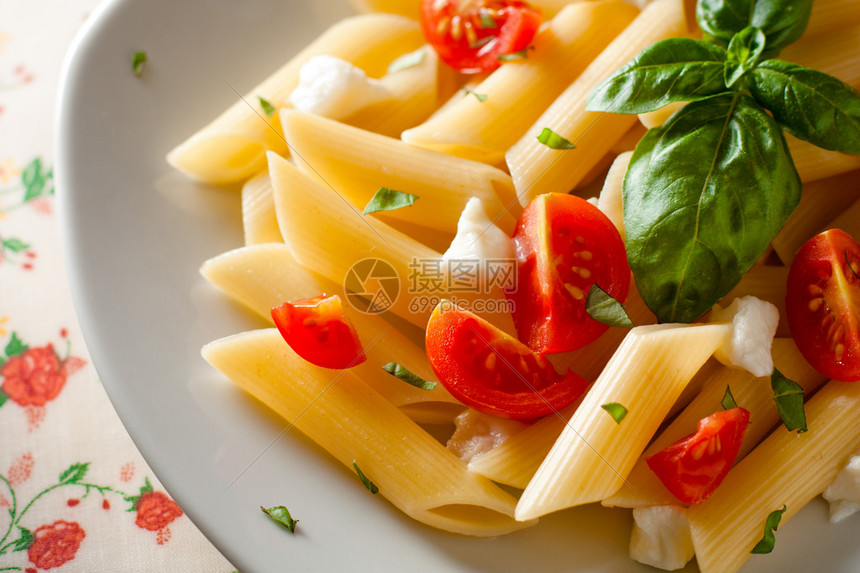 Penne高清图片下载-正版图片503291858-摄图网