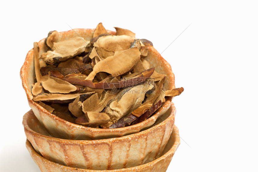 干林芝蘑菇丽希蘑菇Ganoderma理明CurtisP高清图片下载-正版图片503294228-摄图网