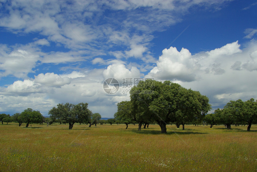 西班牙典型的Deh高清图片下载-正版图片503322958-摄图网