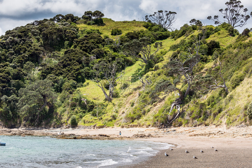 从新西兰群岛湾Paihia附近的Rus高清图片下载-正版图片503325481-摄图网