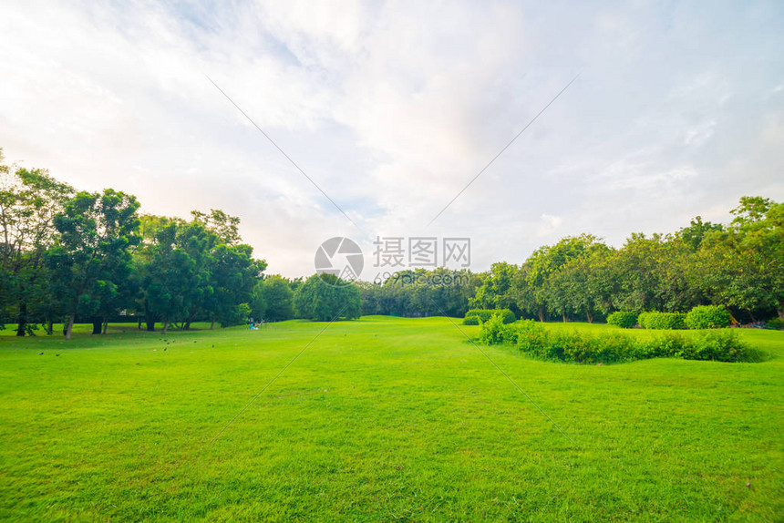 绿草在公园背景的绿草地高清图片下载-正版图片503325647-摄图网