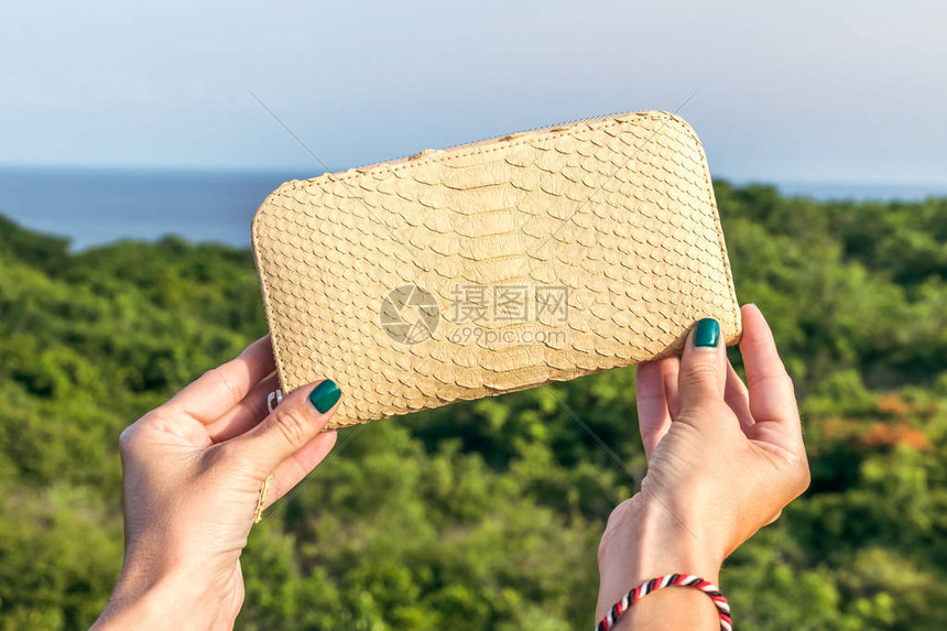 女人手拿着奢侈的蛇皮松钱包在热带绿色背高清图片下载-正版图片503336009-摄图网