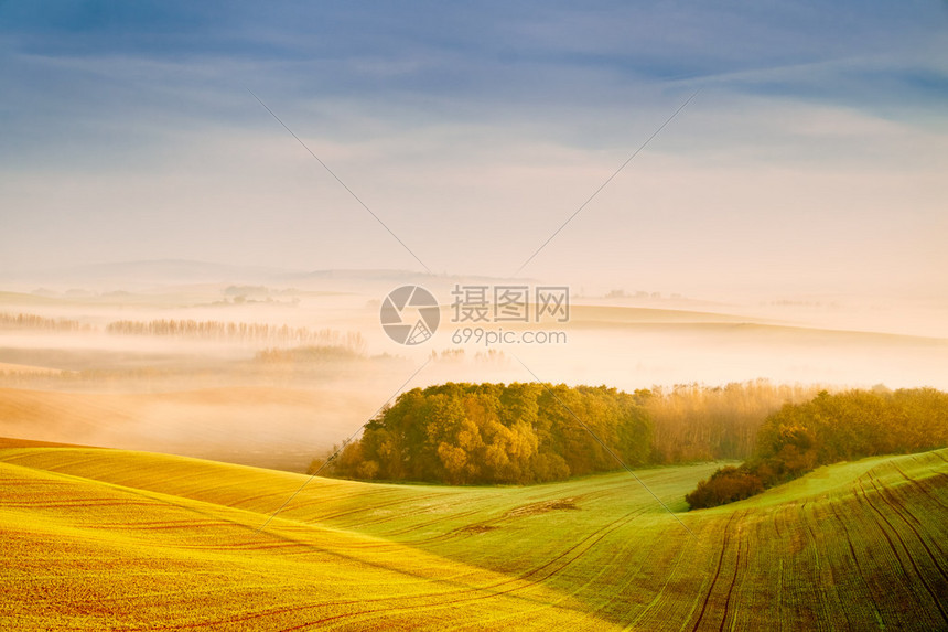 晨秋灯光下的田野高清图片下载-正版图片503339800-摄图网