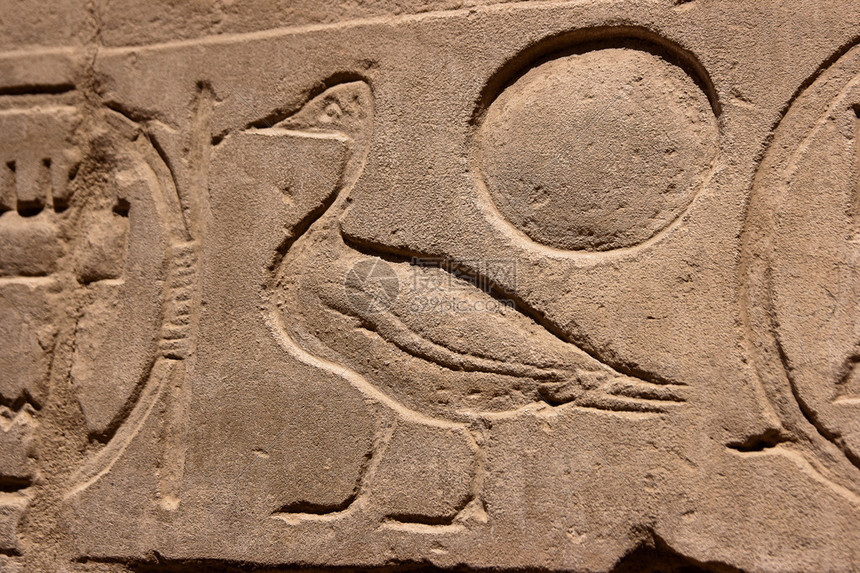 埃及象形文字鸟高清图片下载-正版图片503410922-摄图网