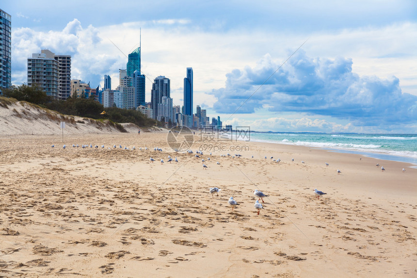 澳大利亚的黄金海岸滩高清图片下载-正版图片503427325-摄图网