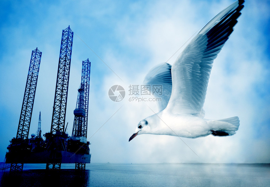 个人蓝图中的抽象蓝色石油钻井平台和飞翔的海鸥插画图片下载-正版图片503455220-摄图网