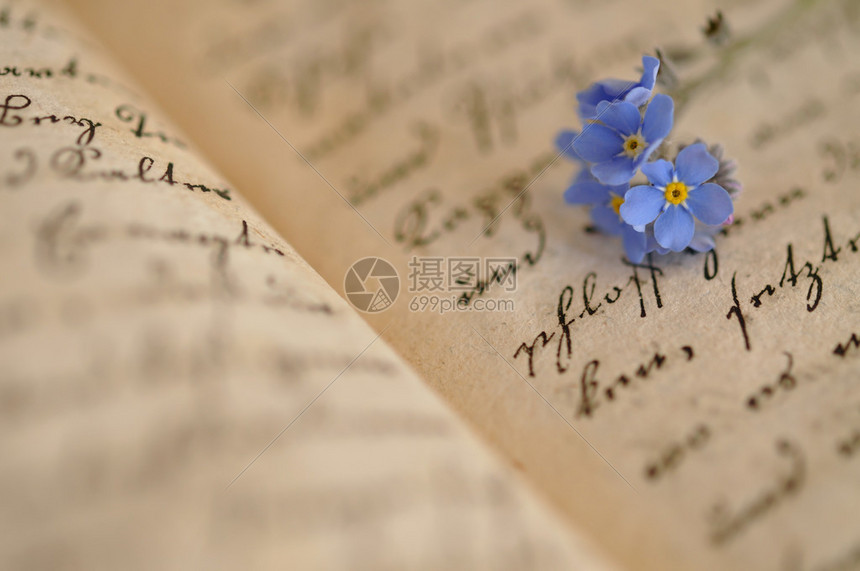 忘记我忘高清图片下载-正版图片503460324-摄图网