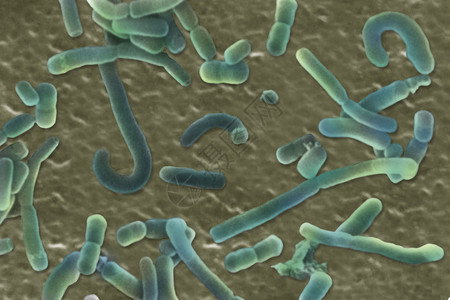 在扫描电子显微镜下查看的高清图片下载-正版图片502937107-摄图网