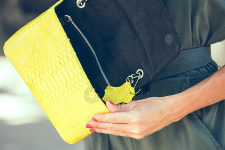 时尚女人拿着奢侈的蛇皮包高清图片下载-正版图片503156647-摄图网