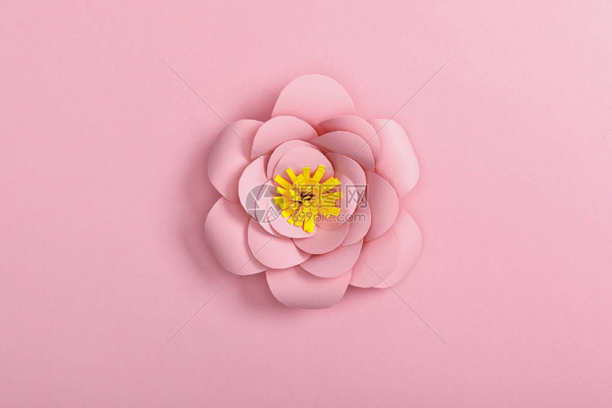 粉红色背景纸花的顶视图高清图片下载-正版图片503654054-摄图网