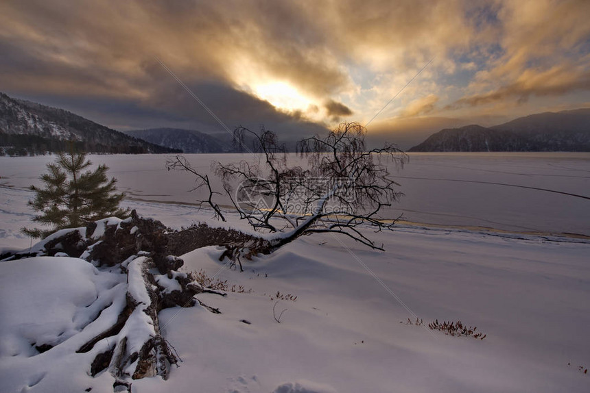 俄罗斯阿尔泰山泰勒斯高清图片下载-正版图片503654919-摄图网