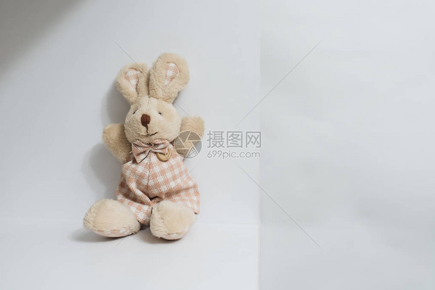 白色背景上的可爱兔子玩具高清图片下载-正版图片503672882-摄图网