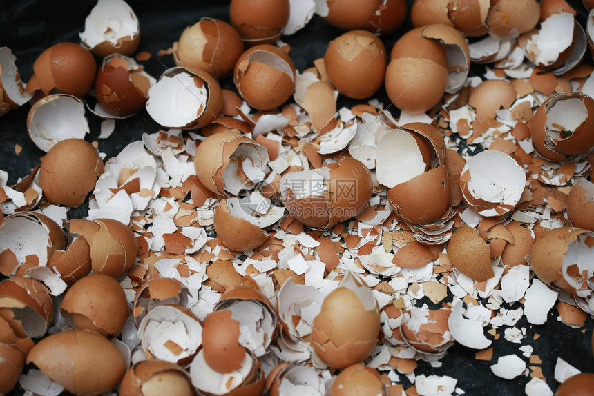 黑色背景上的许多蛋壳高清图片下载-正版图片503691835-摄图网