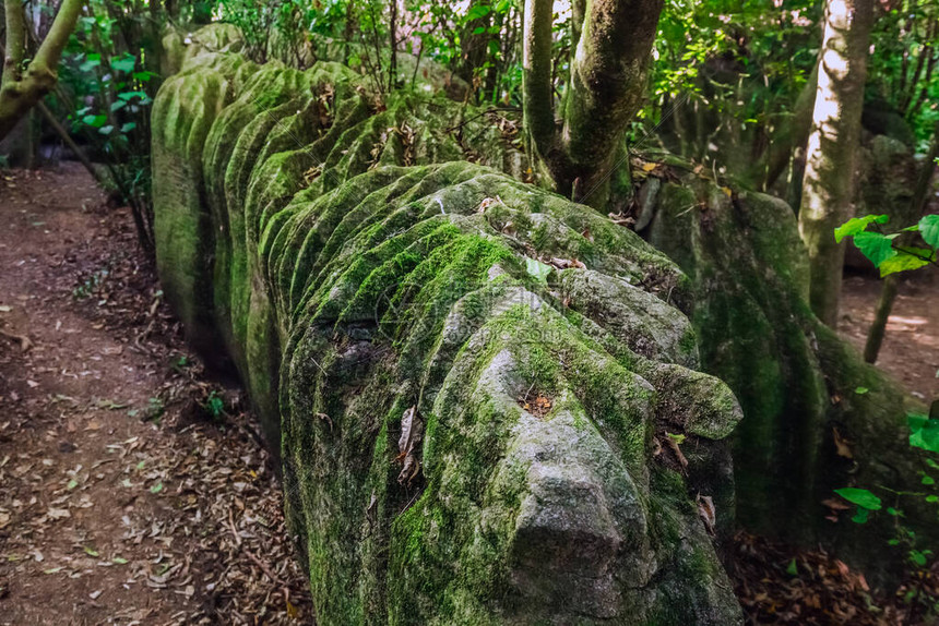 新西兰南岛Takaka的Labyr高清图片下载-正版图片503693369-摄图网