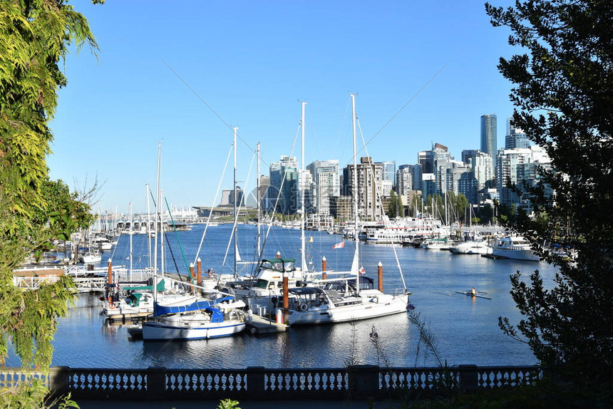 温哥华是加拿大西部的沿海港城市高清图片下载-正版图片503696617-摄图网