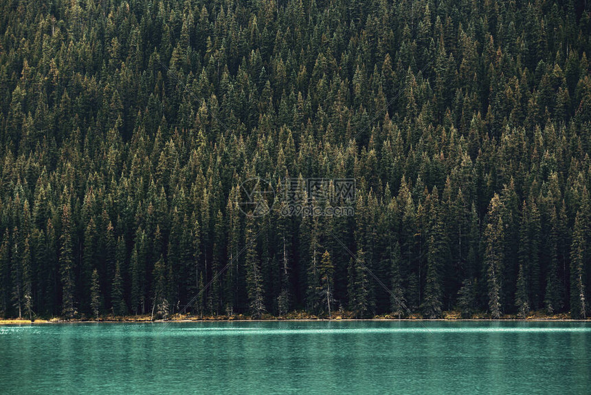 加拿大公园高清图片下载-正版图片503715678-摄图网