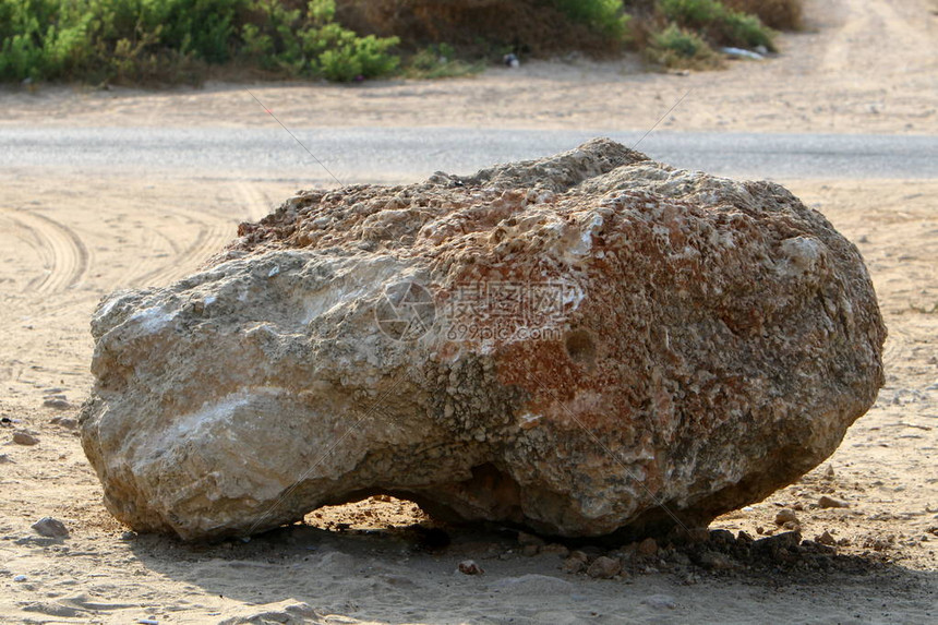 以色列北部地中海沿岸的石头和贝壳高清图片下载-正版图片503796039-摄图网
