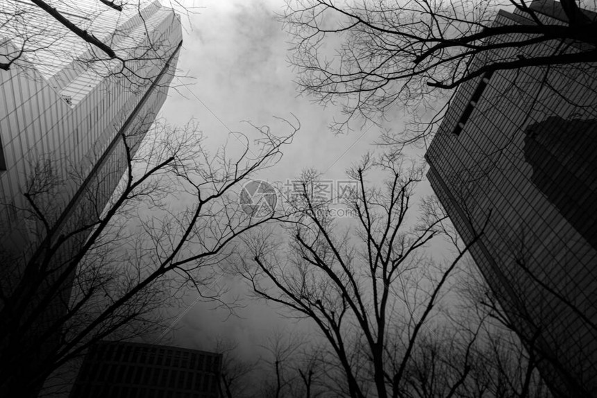 东京Minatoku街monoc高清图片下载-正版图片503805670-摄图网