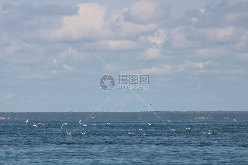 在莫桑比克Bazarutu群岛的开放高清图片下载-正版图片503809953-摄图网