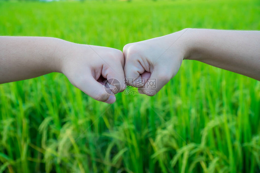 男孩和女孩在草地背景上用手碰拳高清图片下载-正版图片503823204-摄图网