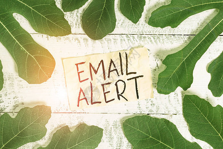 显示电子邮件警报的文本符号展示自动生成并发送给指定收件人的电子邮高清图片下载-正版图片503893624-摄图网