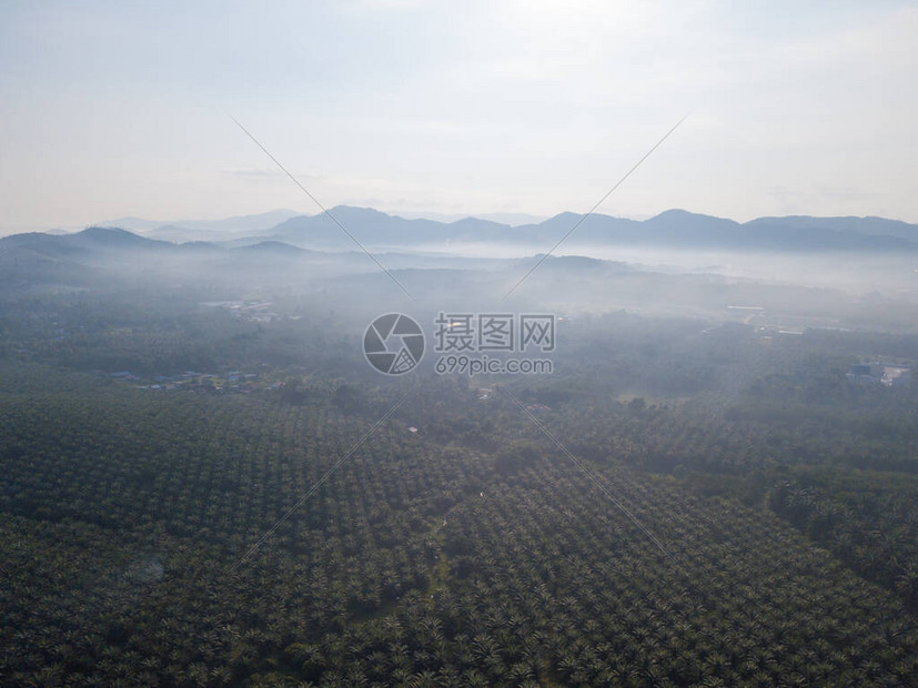 在库林的Machang高清图片下载-正版图片503914259-摄图网