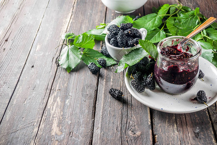 MulberryChutney或Jam高清图片下载-正版图片503963181-摄图网