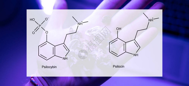 psilocybin和psilocin对人们的心理和身体健康的医学影响psilocybin的娱高清图片下载-正版图片504053478-摄图网