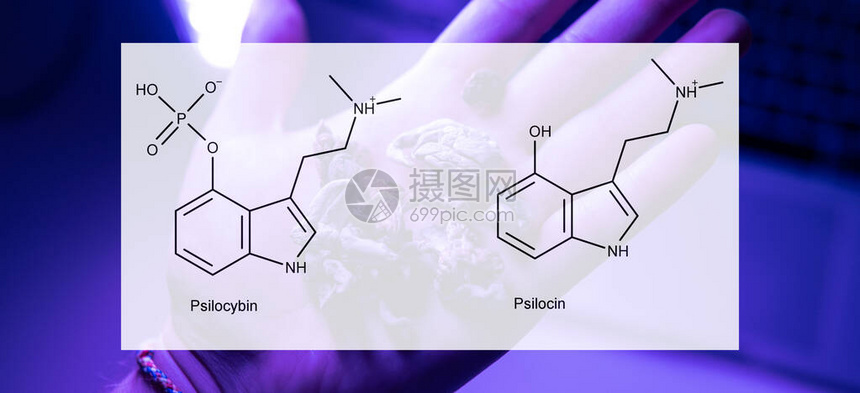 psilocybin和psilocin对人们的心理和身体健康的医学影响psilocybin蘑菇的娱高清图片下载-正版图片504053435-摄图网