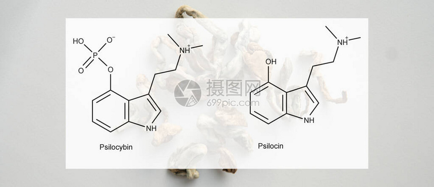 psilocybin和psilocin对人们的心理和身体健康的医学影响psilocybin蘑菇的娱高清图片下载-正版图片504053502-摄图网