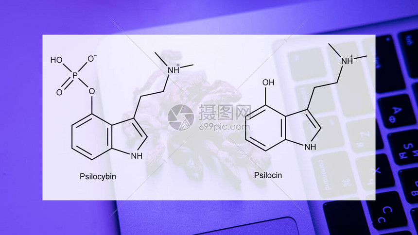 psilocybin和psilocin对人们的心理和身体健康的医学影响psilocybin蘑菇的娱高清图片下载-正版图片504053531-摄图网