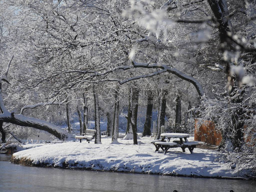 池塘旁公园的冬季场景树木和长椅覆高清图片下载-正版图片504076828-摄图网