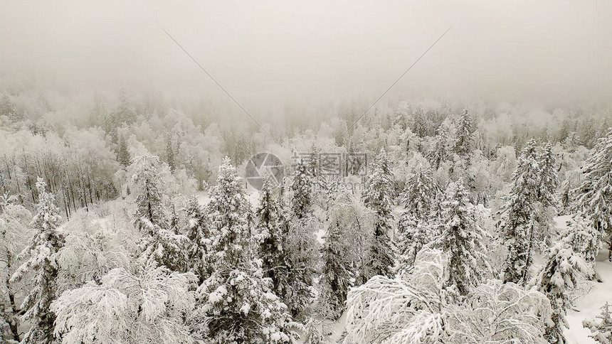 南乌拉尔自然公园塔加奈Tagaa高清图片下载-正版图片504098176-摄图网