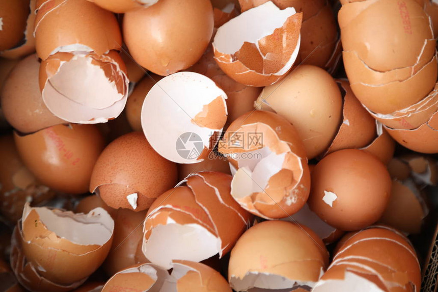 蛋壳特写高清图片下载-正版图片504169444-摄图网