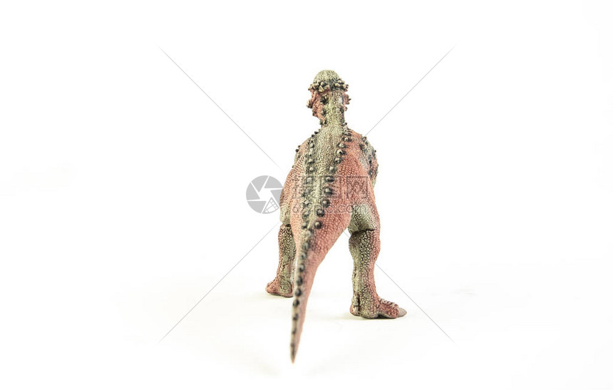 Pachycephalosaurus高清图片下载-正版图片504255359-摄图网