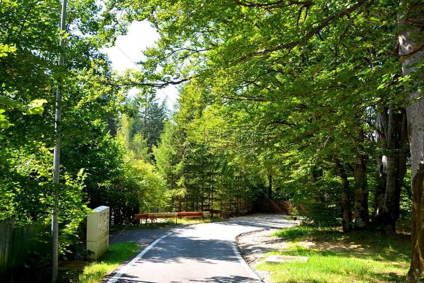 波亚纳布拉索夫Poiana高清图片下载-正版图片504258164-摄图网