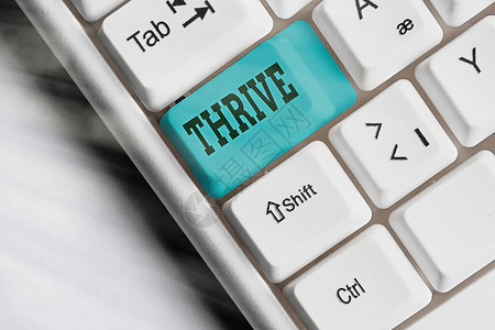 显示Thrive的文本符号商业照片文本积极思考继续繁荣和繁荣时间开花空白语音泡沫带引号两个扩音高清图片下载-正版图片504259039-摄图网