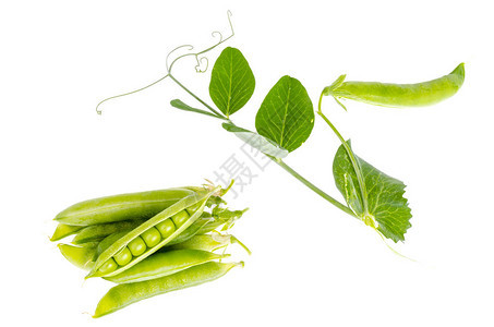刚收获的绿豌豆荚高清图片下载-正版图片504331160-摄图网