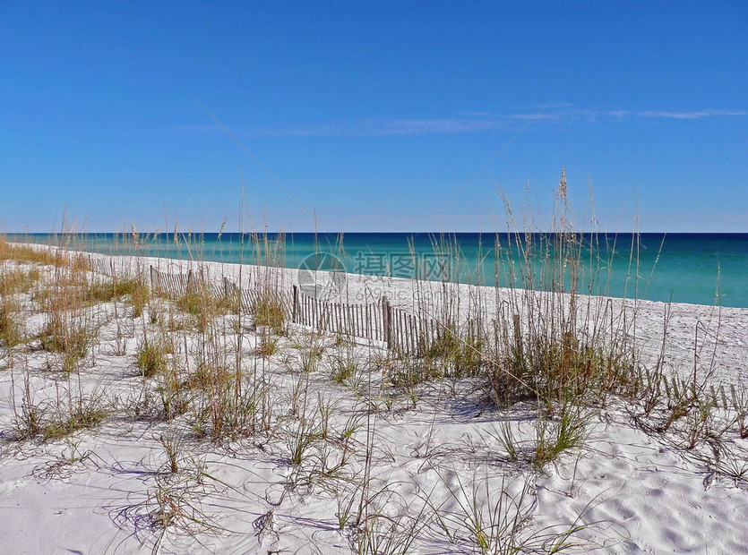 美国佛罗里达州纳瓦雷Navarre的绿化清净水高清图片下载-正版图片504298975-摄图网