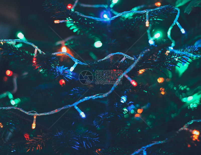 树上的五彩圣诞灯高清图片下载-正版图片504314075-摄图网