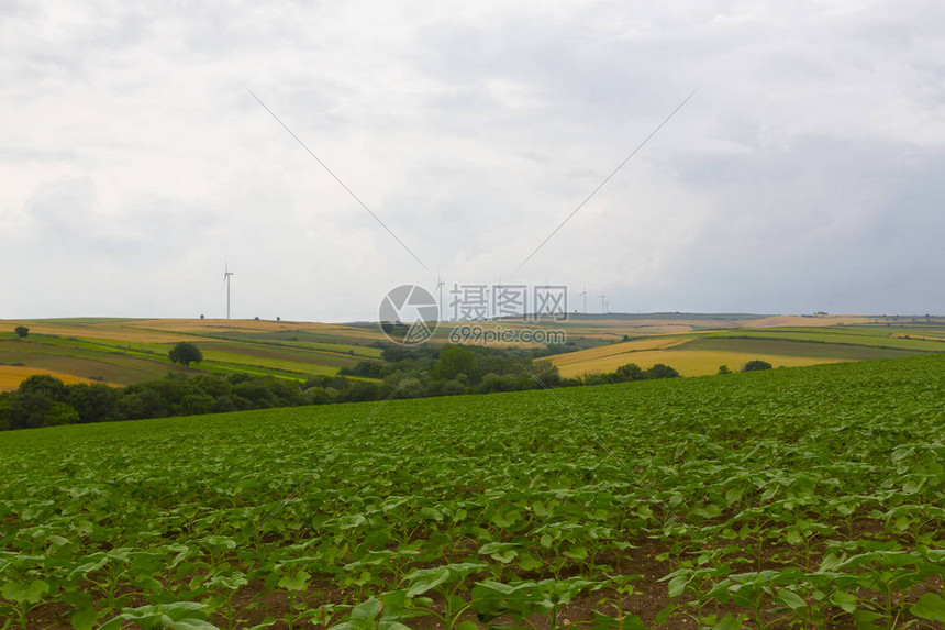 Wildmill站在蓝天山的田野上高清图片下载-正版图片504335143-摄图网