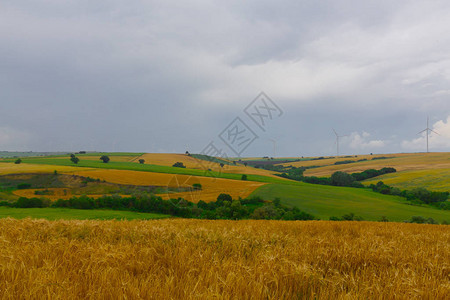 Wildmill站在蓝天山的田野上高清图片下载-正版图片504335188-摄图网