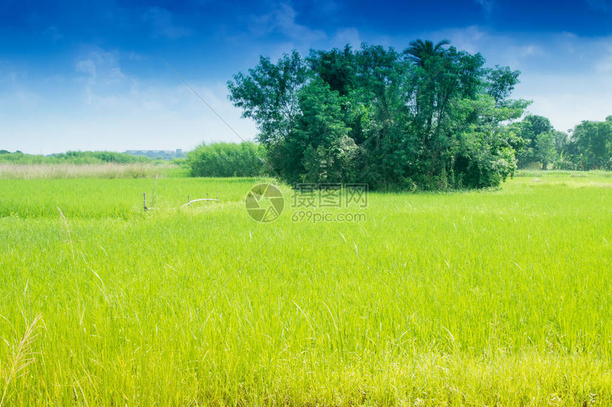 印度西孟加拉州霍拉Howrah西孟加拉邦的高清图片下载-正版图片504337156-摄图网