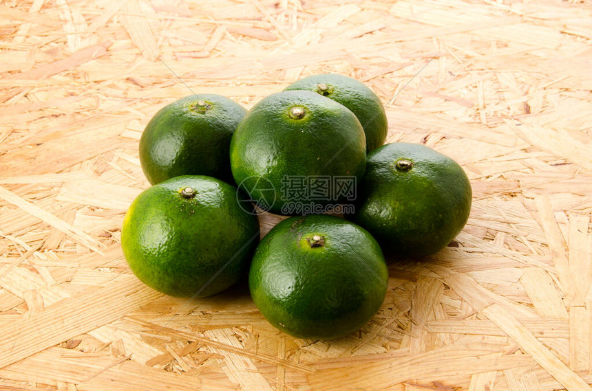 Citrus高清图片下载-正版图片504346754-摄图网