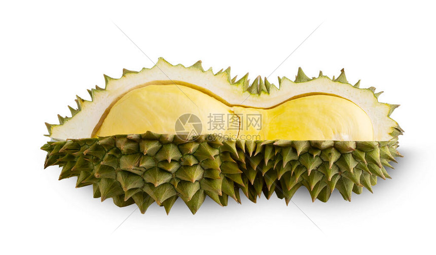 Durian和durian孤立高清图片下载-正版图片504350038-摄图网