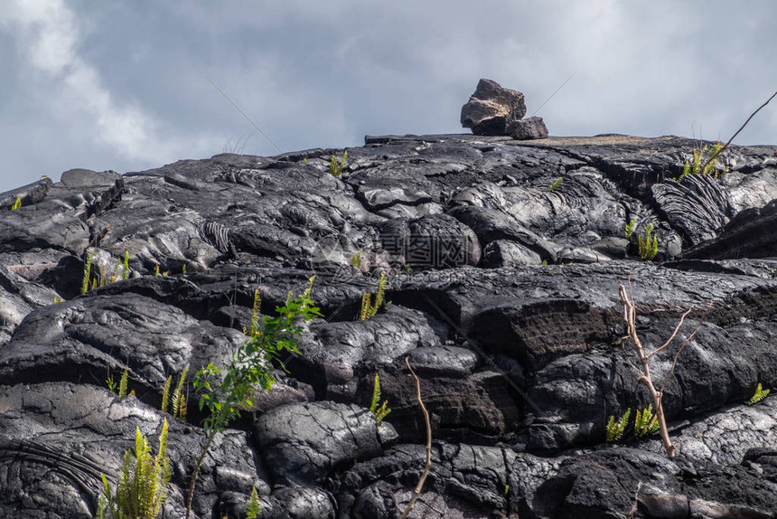 Kaimu海滩高清图片下载-正版图片504388547-摄图网