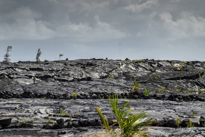Kaimu海滩高清图片下载-正版图片504388607-摄图网