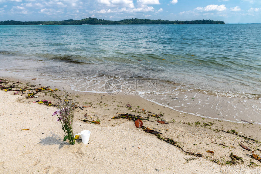 新加坡ChagiChangi海滩公园高清图片下载-正版图片504426770-摄图网