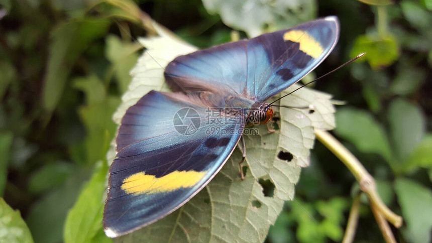 多哥Kloto高清图片下载-正版图片504444412-摄图网