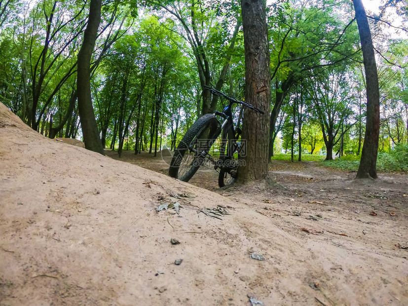 MTB秋季在小高清图片下载-正版图片504506916-摄图网